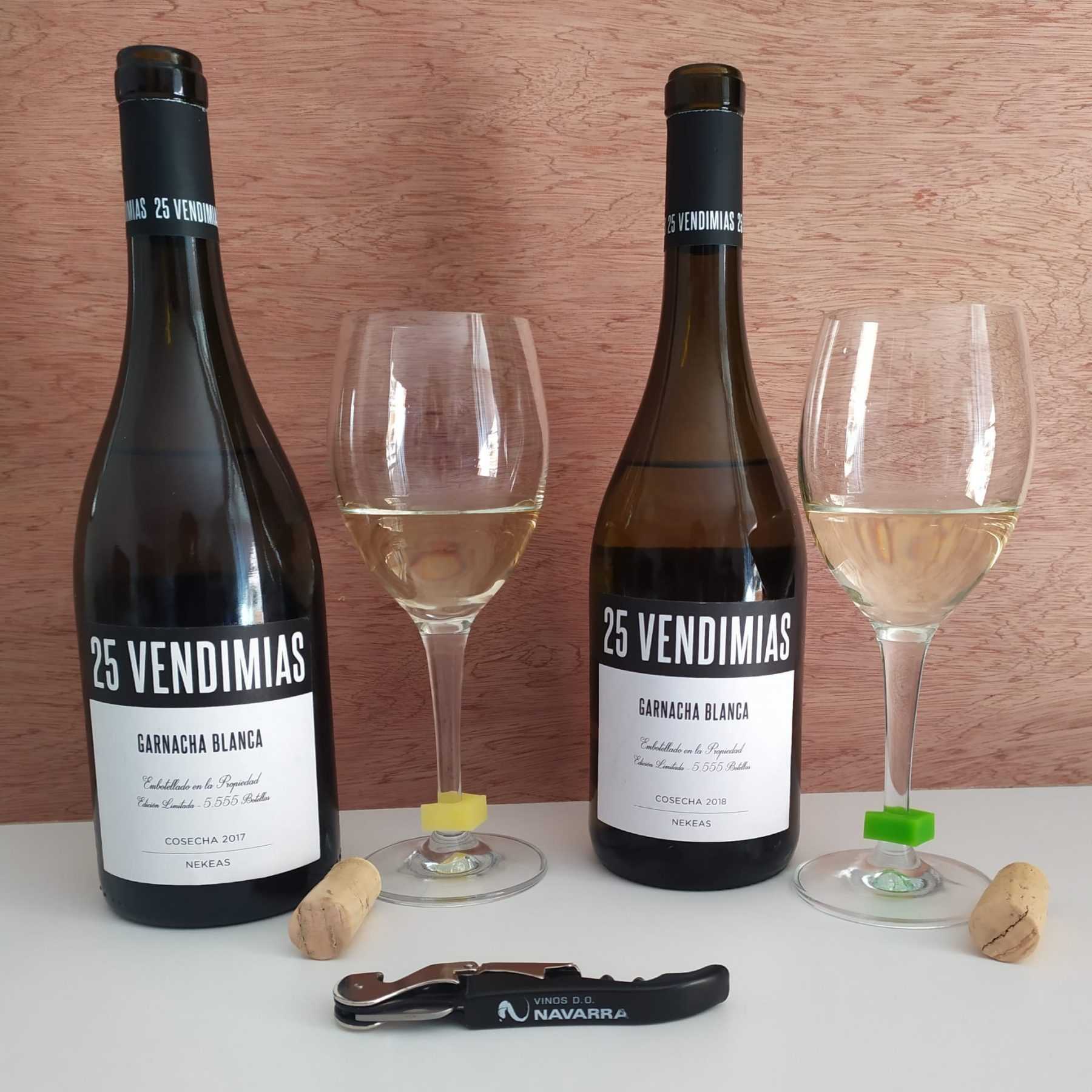 Vertical tasting of white wine of Bodegas Nekeas - Pamplona Food